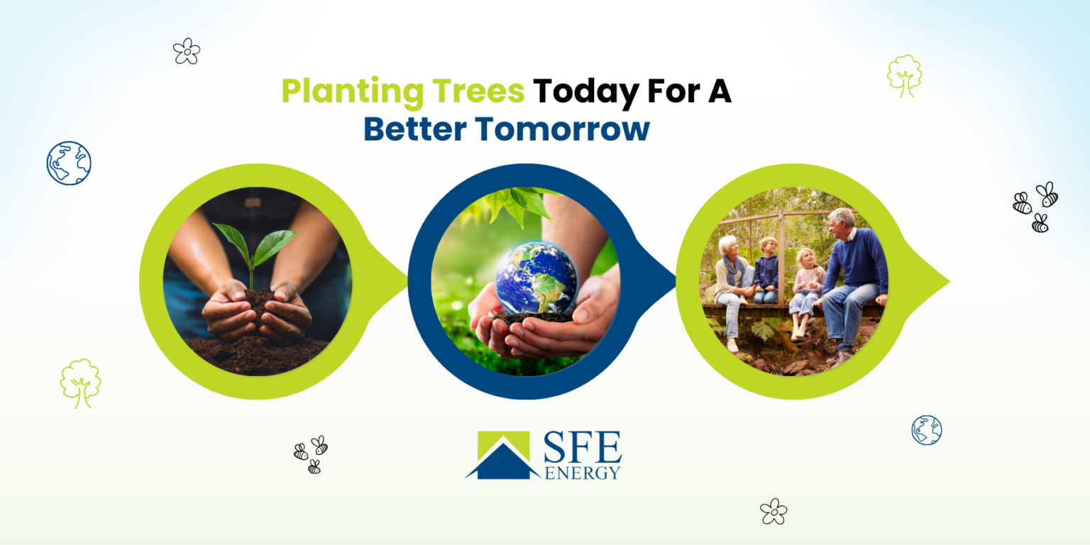 How Planting Trees Can Save Our Planet And Future Generations SFE ENERGY